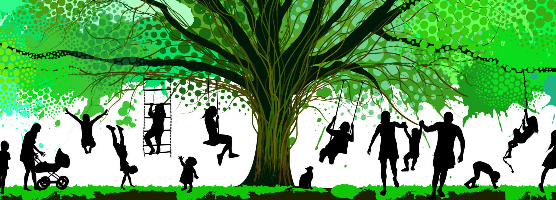 Family tree packages · East Ayrshire Council